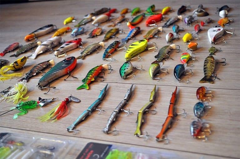 Surf Fishing Baits You Should Use For Surf Fishing - Outdoor Federation