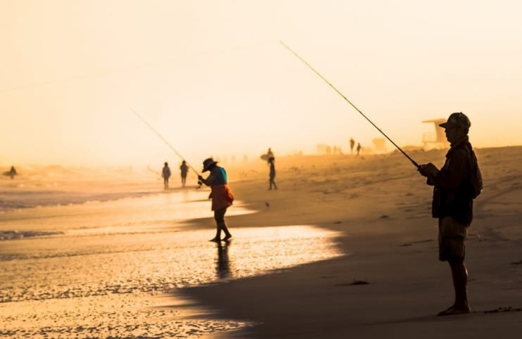 Surf Fishing Baits You Should Use For Surf Fishing - Outdoor Federation