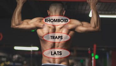 What Muscles Do Kayaking Work? – Outdoor Federation