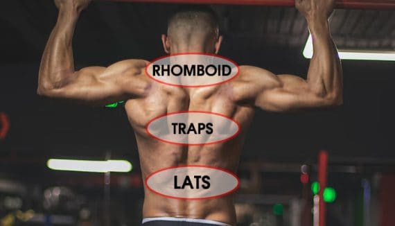 What Muscles Do Kayaking Work? – Outdoor Federation